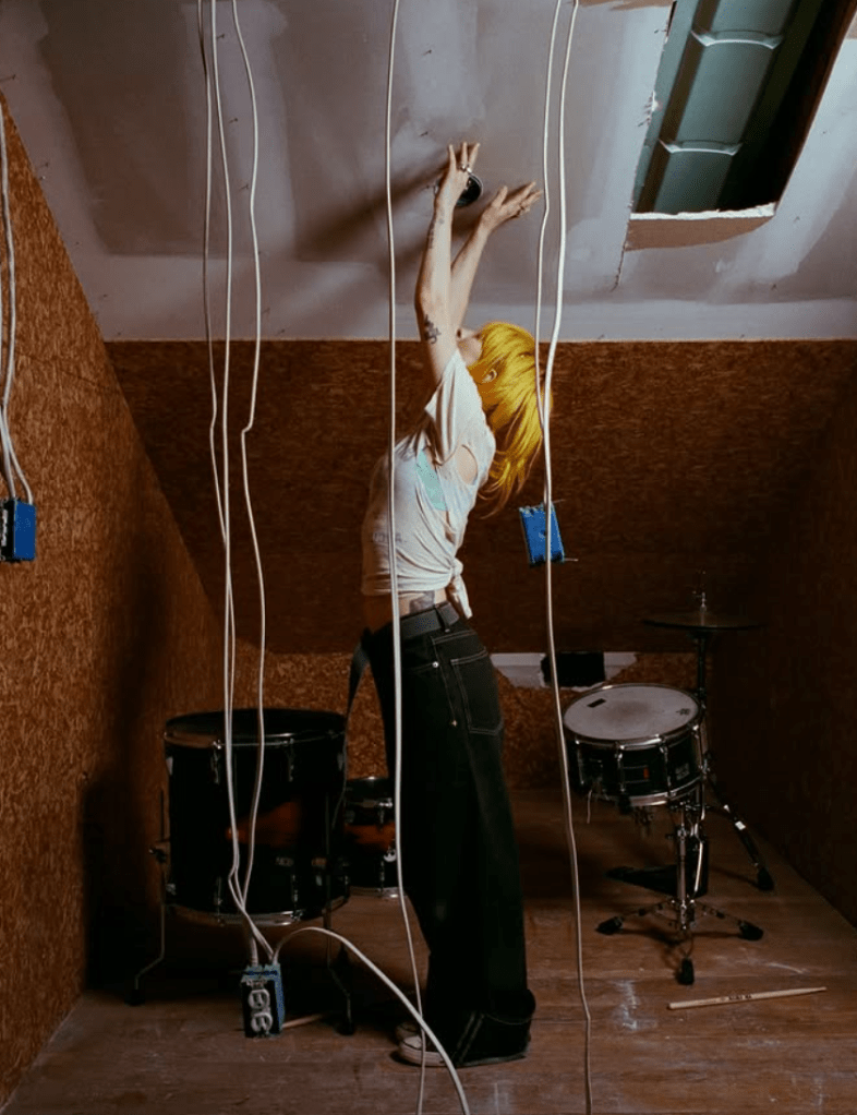 The Growing Pains of a Frontwoman: Hayley Williams in Retrospect ...